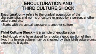 Aspects of Culture - Understanding Culture, Society and Politics | PPTX