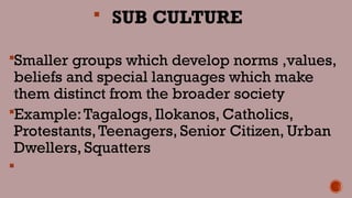 UCSP-WEEK 3.pptx Understanding Culture Society and Politics | PPTX
