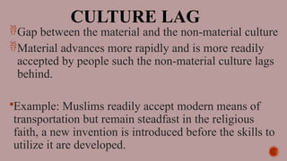 UCSP-WEEK 3.pptx Understanding Culture Society and Politics | PPTX