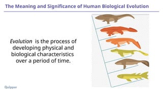 UCSP 11_12 Q1 0501 Biological Evolution of Man PS.pptx