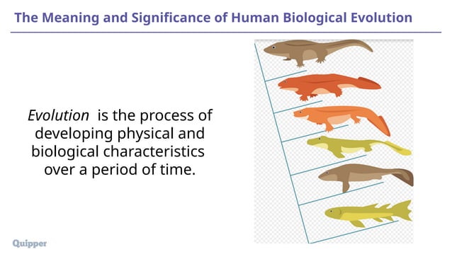 UCSP 11_12 Q1 0501 Biological Evolution of Man PS.pptx | Biological ...