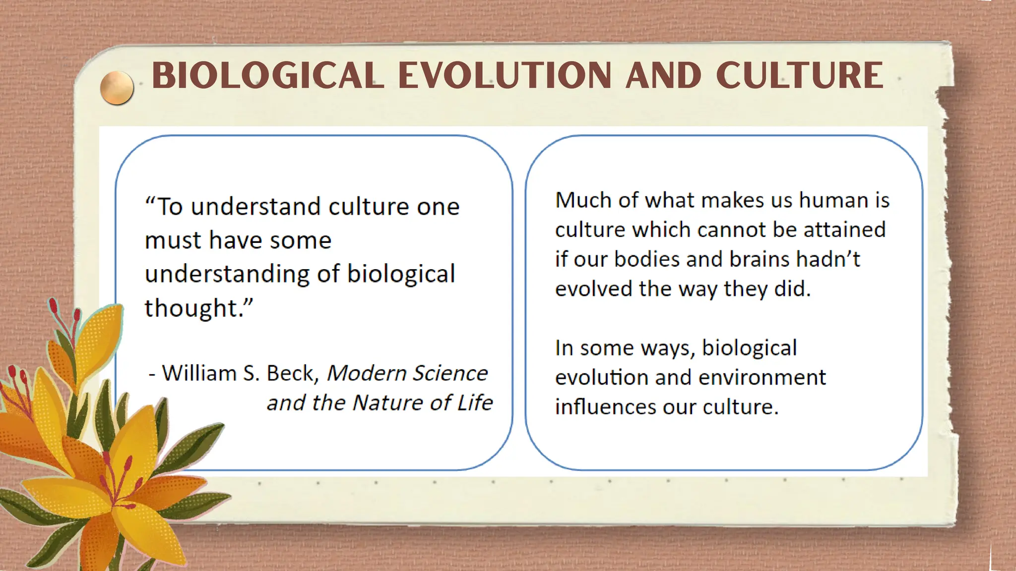 THE EVOLUTION OF HUMAN CULTURE (UCSP-11) | PDF