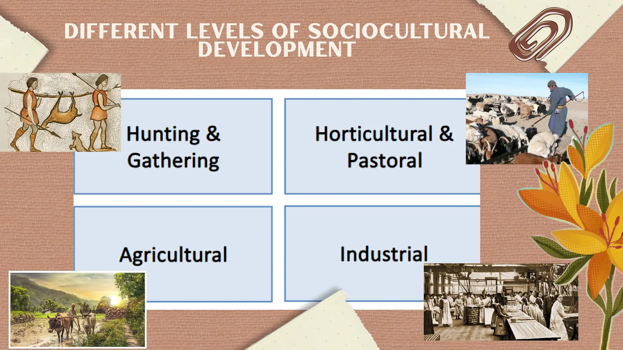 THE EVOLUTION OF HUMAN CULTURE (UCSP-11) | PDF