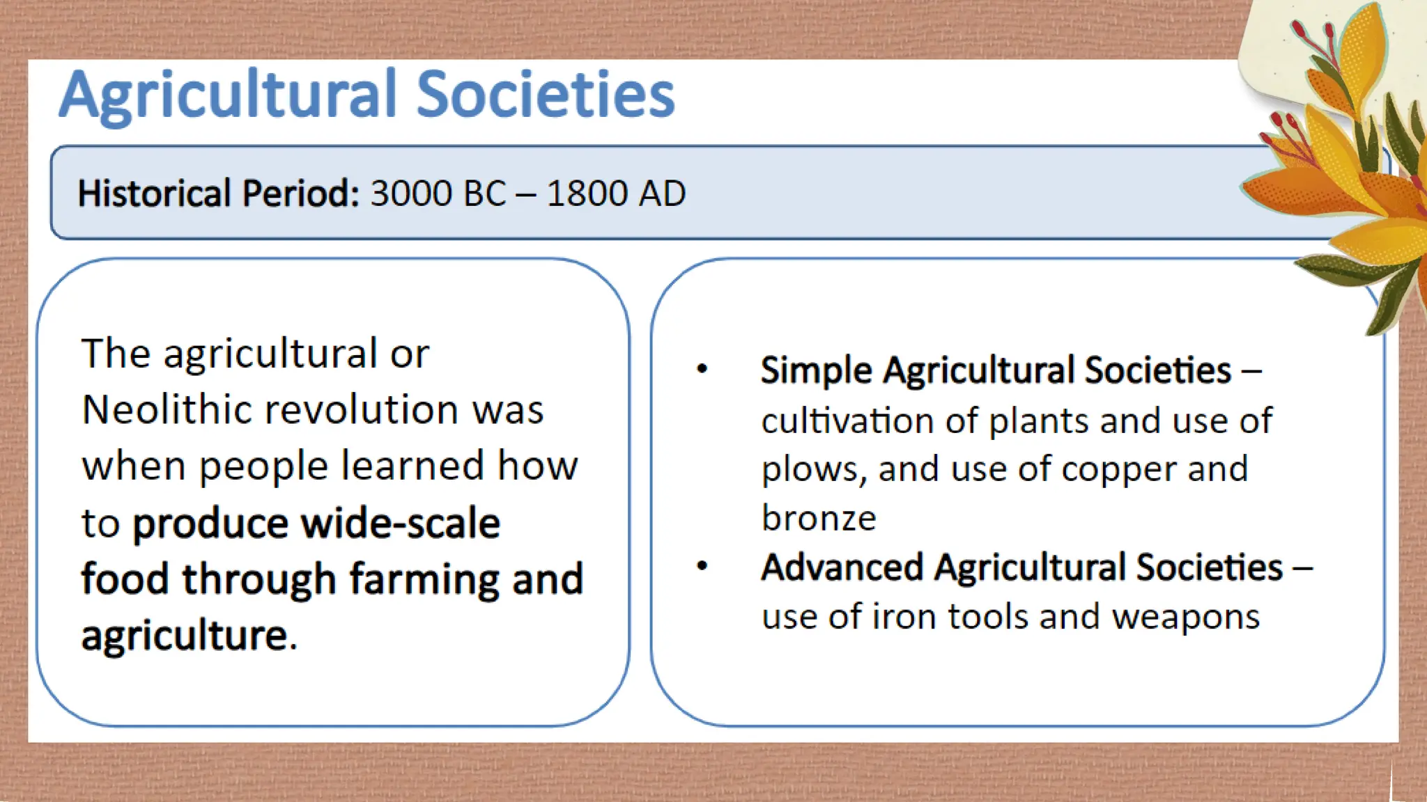 THE EVOLUTION OF HUMAN CULTURE (UCSP-11) | PDF