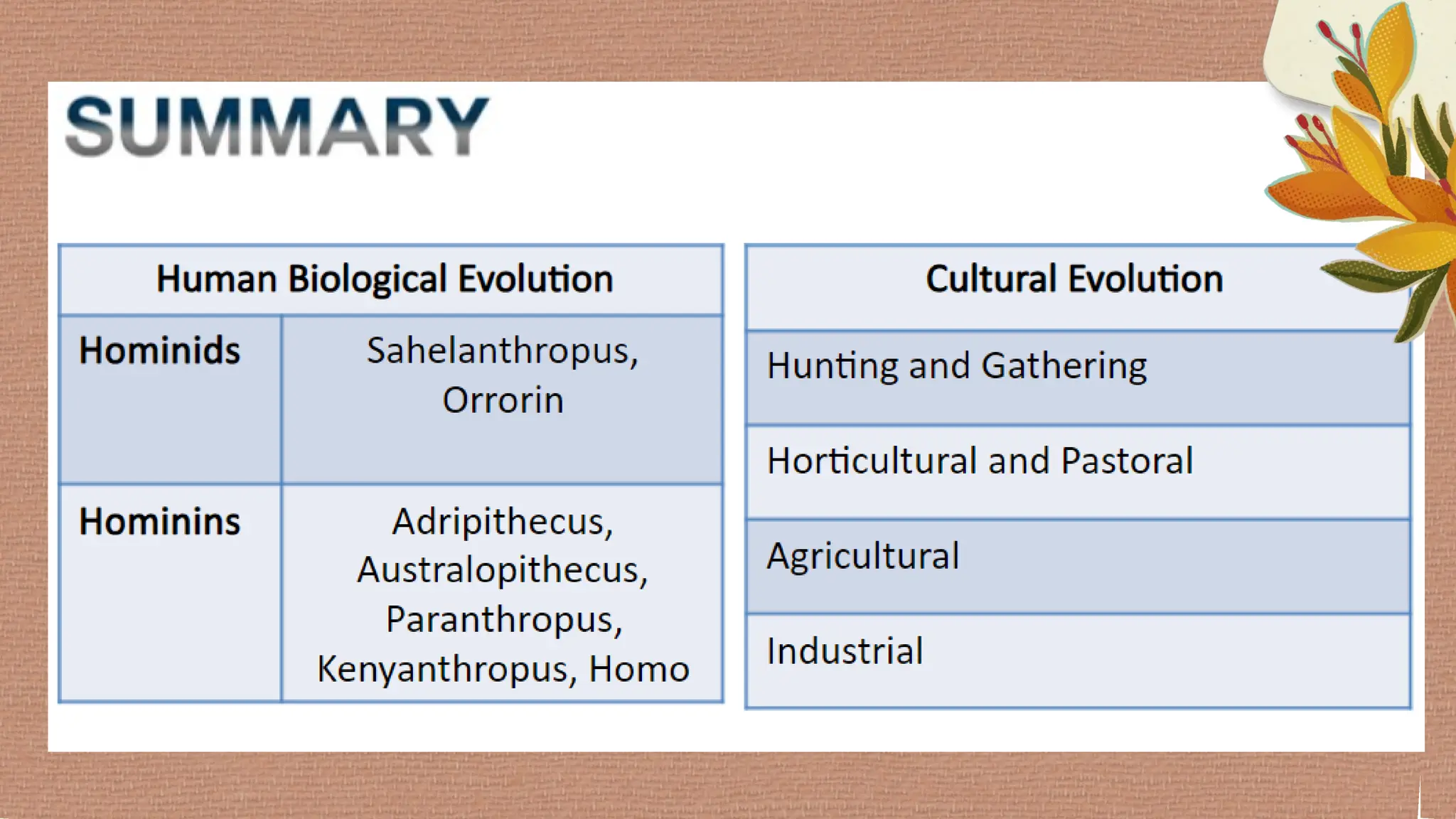 THE EVOLUTION OF HUMAN CULTURE (UCSP-11) | PDF