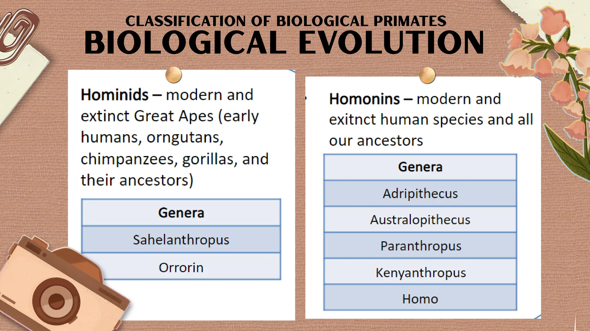 THE EVOLUTION OF HUMAN CULTURE (UCSP-11) | PDF