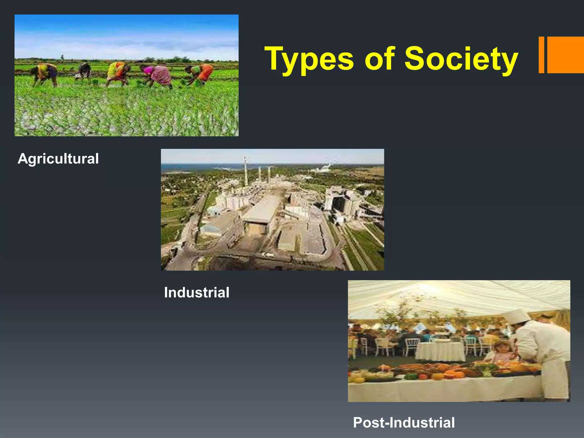 Society as a group of people sharing common culture | PPTX