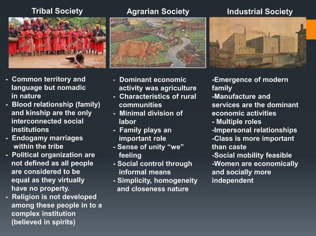 Society as a group of people sharing common culture | PPTX