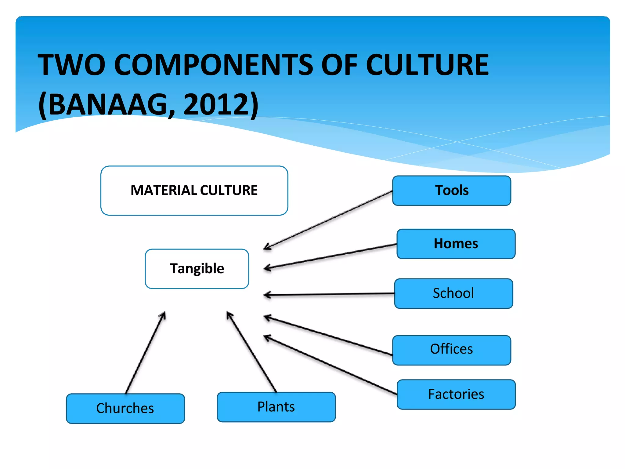 UCSP LESSON 2 Society and Culture.pptx