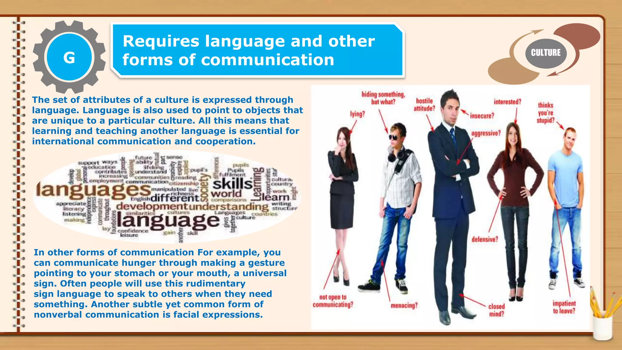 Aspects of Culture | PPTX