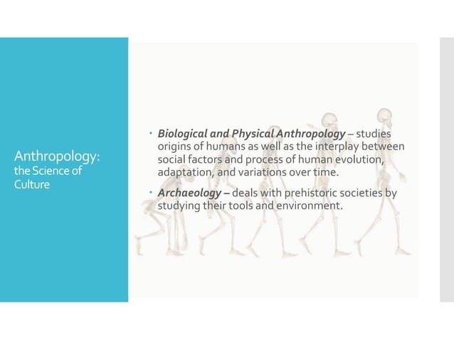 UCSP PPT 1.pdf | Undergraduate Education | College Education