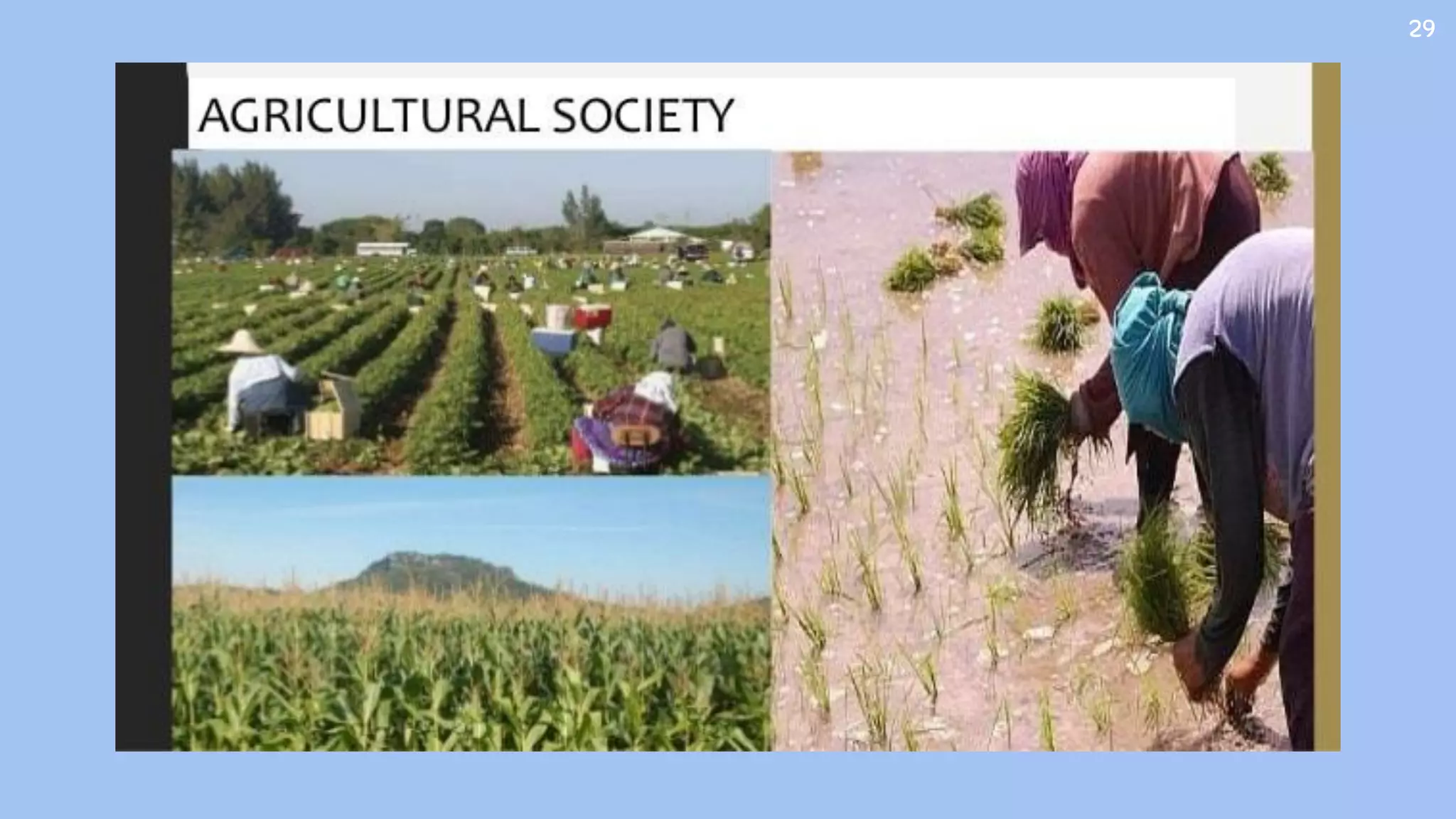 UCSP Week 3 Human Biocultural and Social Evolution.pdf