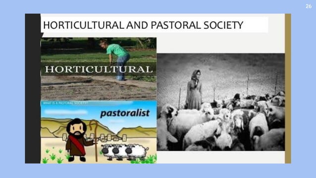 UCSP Week 3 Human Biocultural and Social Evolution.pdf | Science