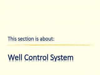Well Control and Well Monitoring Systems | PDF