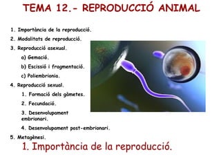 UD.12.-Reproducció animal.pdf sisisisisi | PDF