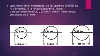 UD-2 Estado Refractivo Ocular y Acomodación Elemento.pdf