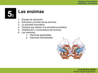 Ud.5 (2). enzimas | PPT