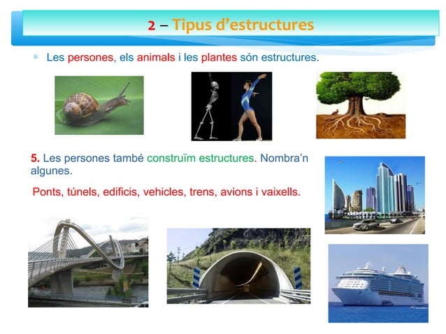 Les estructures | PPT