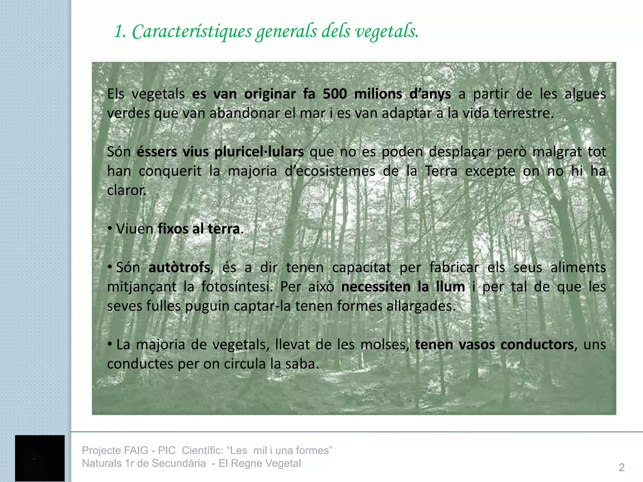 Els Vegetals - FAIG | PPTX