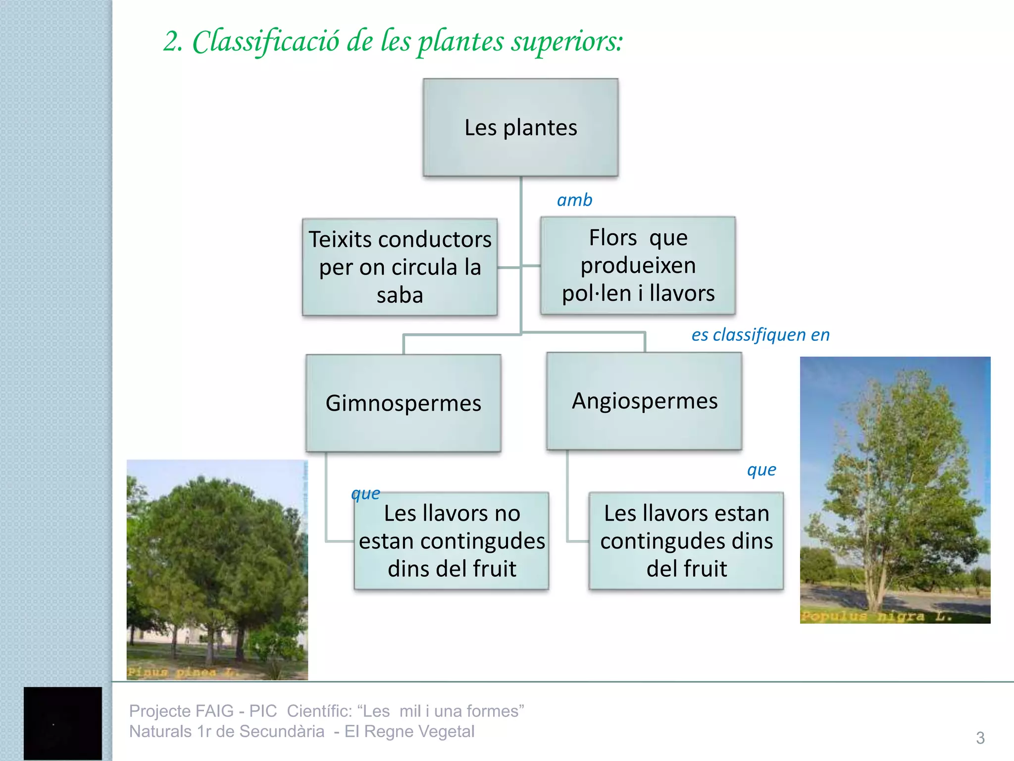 Els Vegetals - FAIG | PPTX