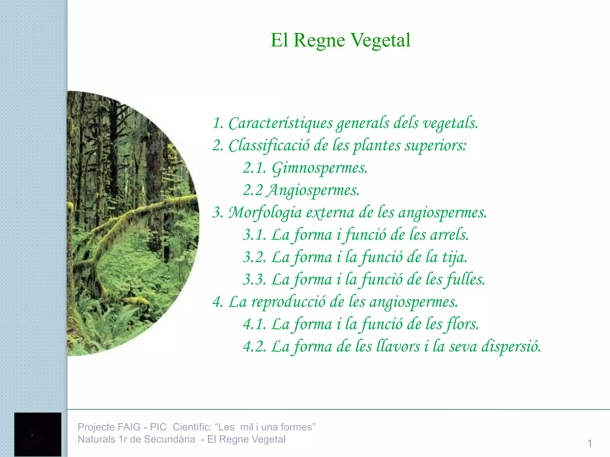 Els Vegetals - FAIG | PPT
