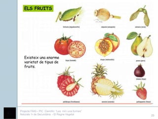 Els Vegetals - FAIG | PPTX