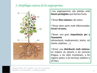 Els Vegetals - FAIG | PPTX