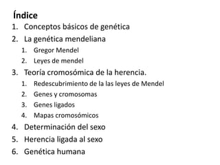 Ud 12. genética mendeliana | PDF