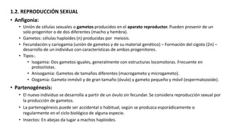UD 16. Reproducción en animales. | PDF