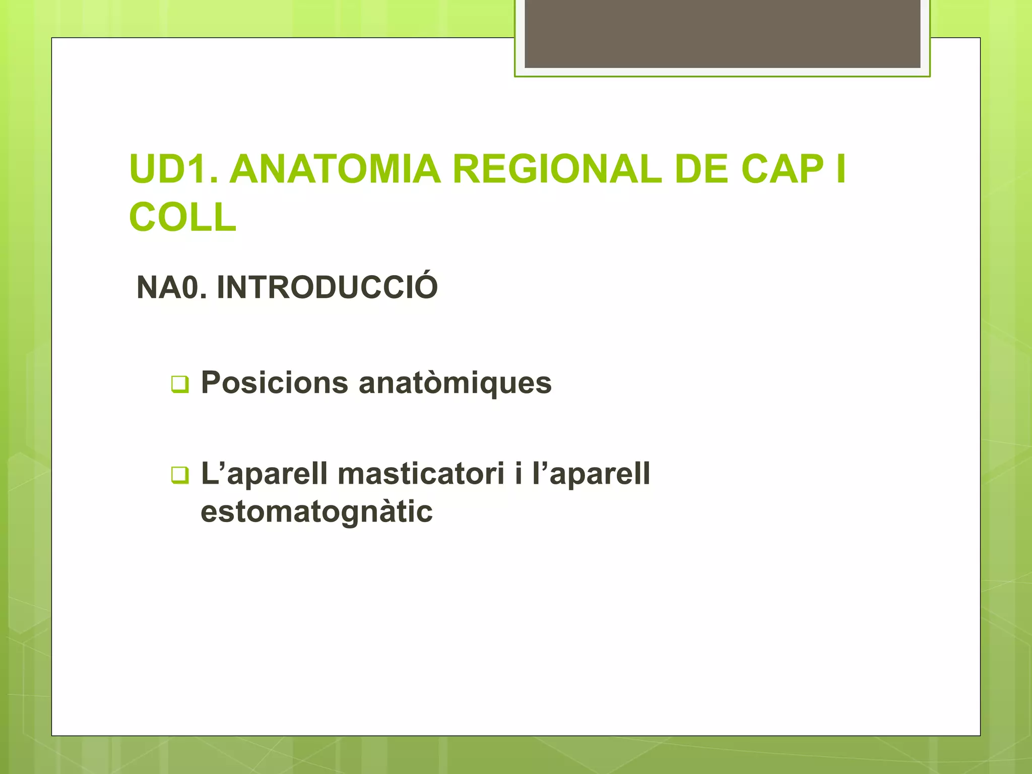 Anatomia cap | PPTX