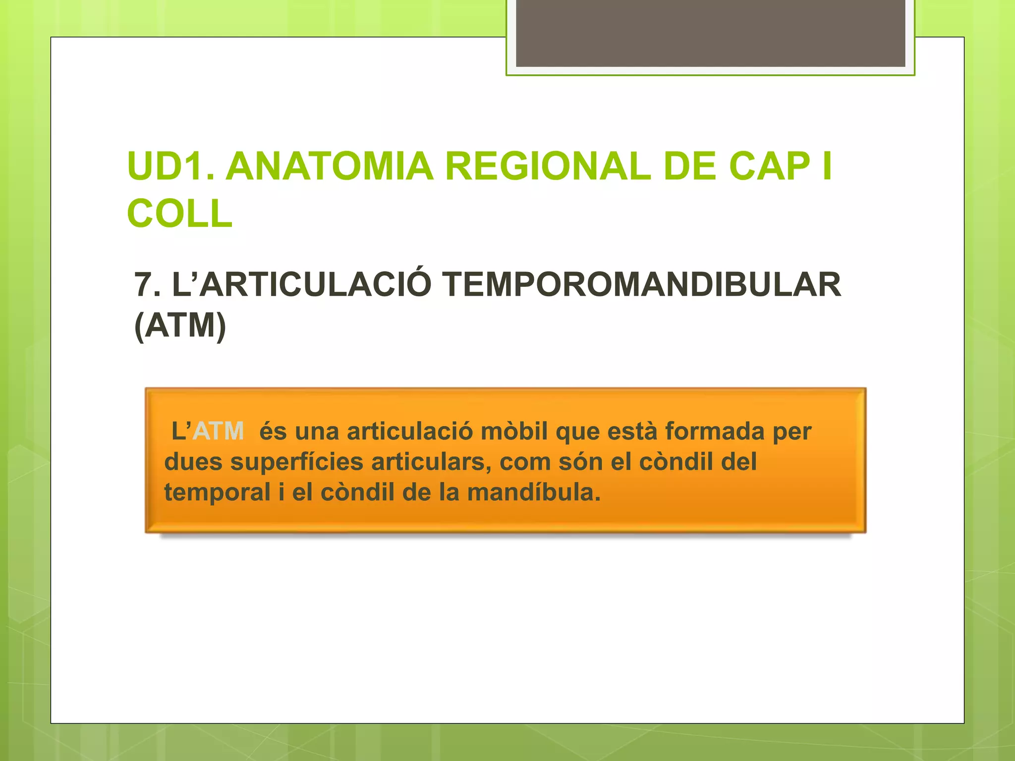 Anatomia cap | PPTX