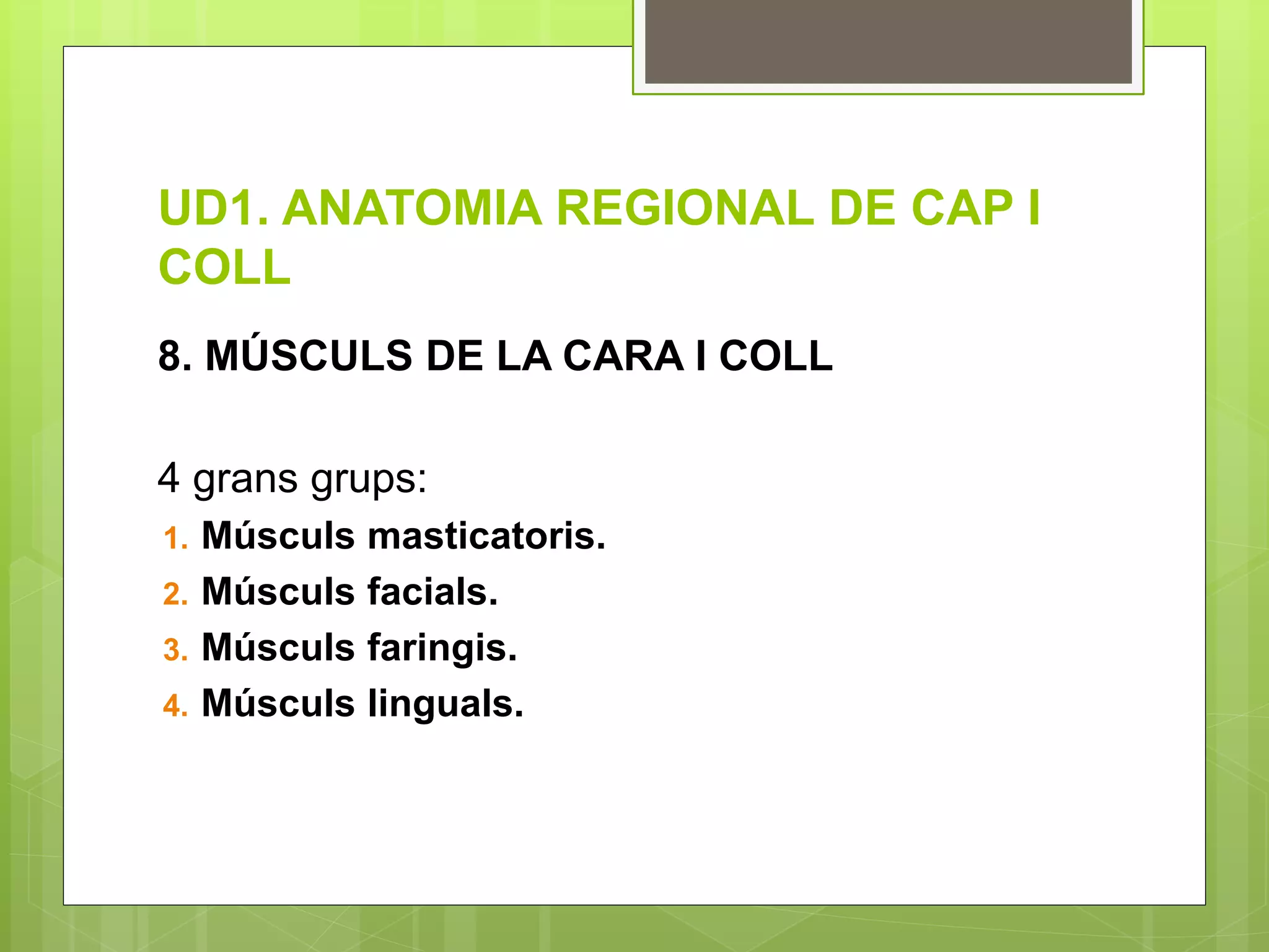 Anatomia cap | PPTX