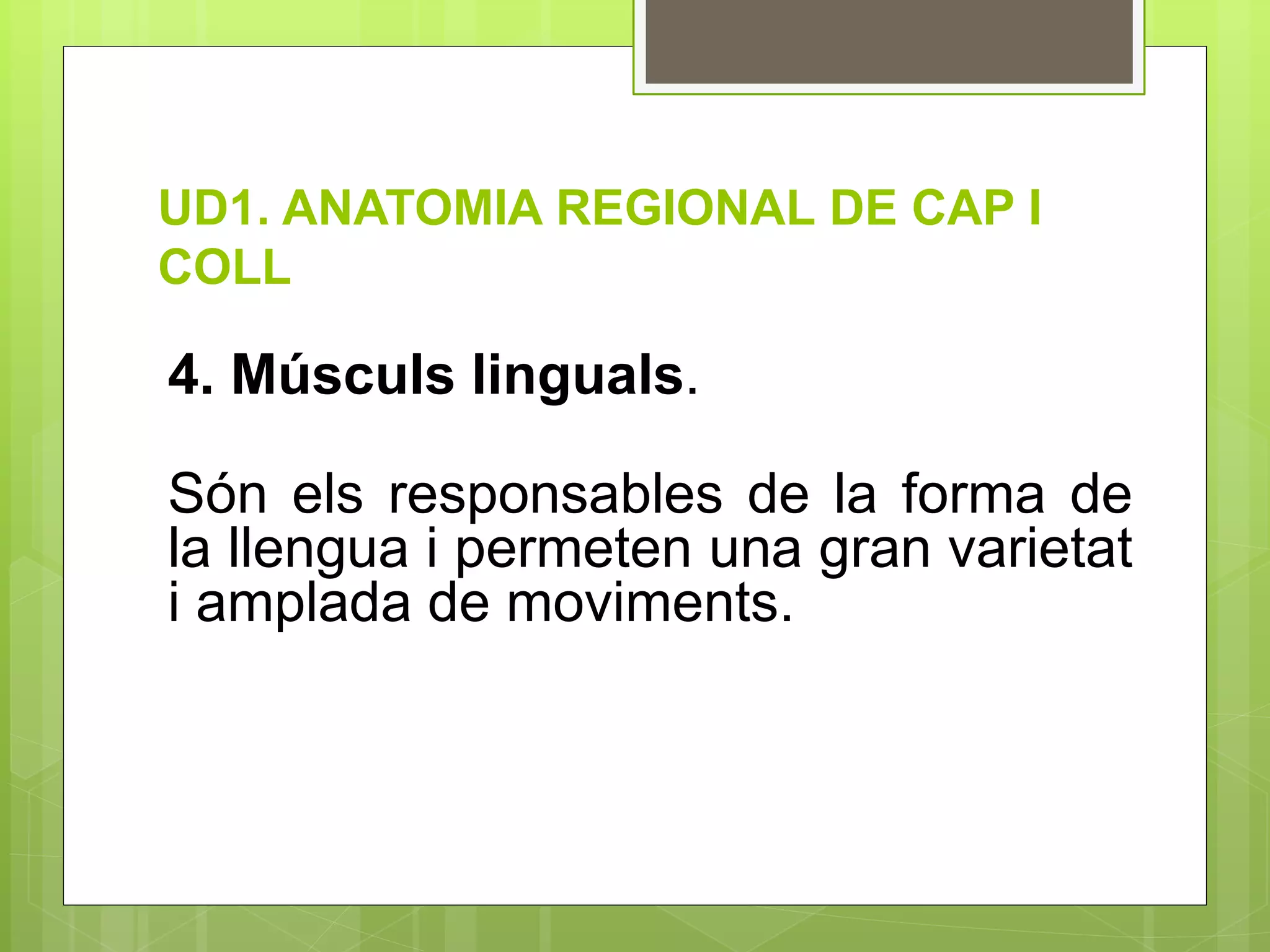 Anatomia cap | PPTX