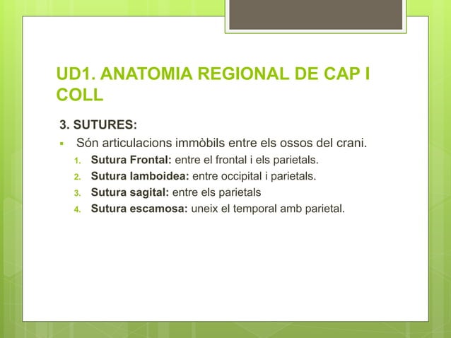 Anatomia cap | PPTX