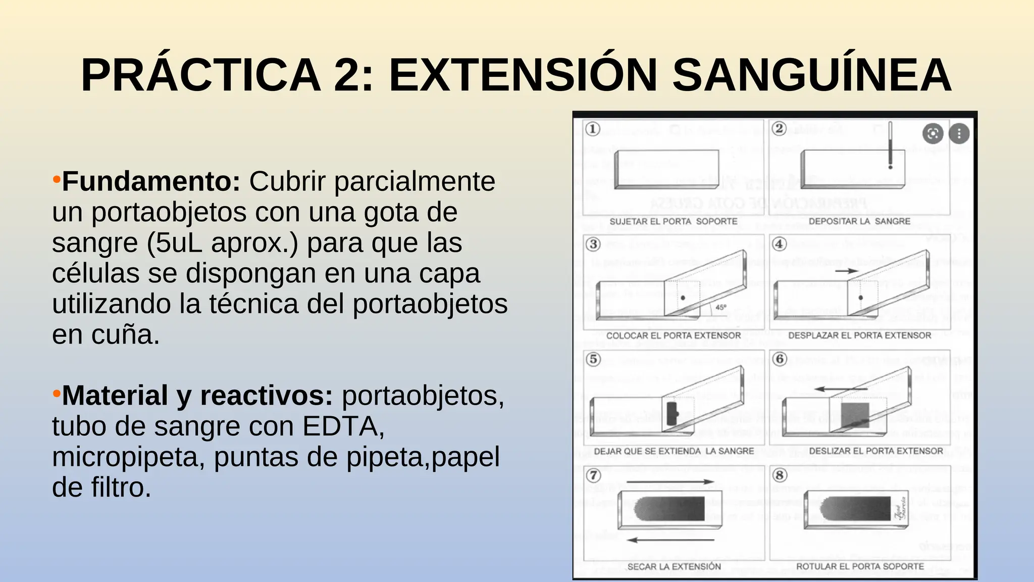 Sangre y frotis sanguíneo. este material | PDF