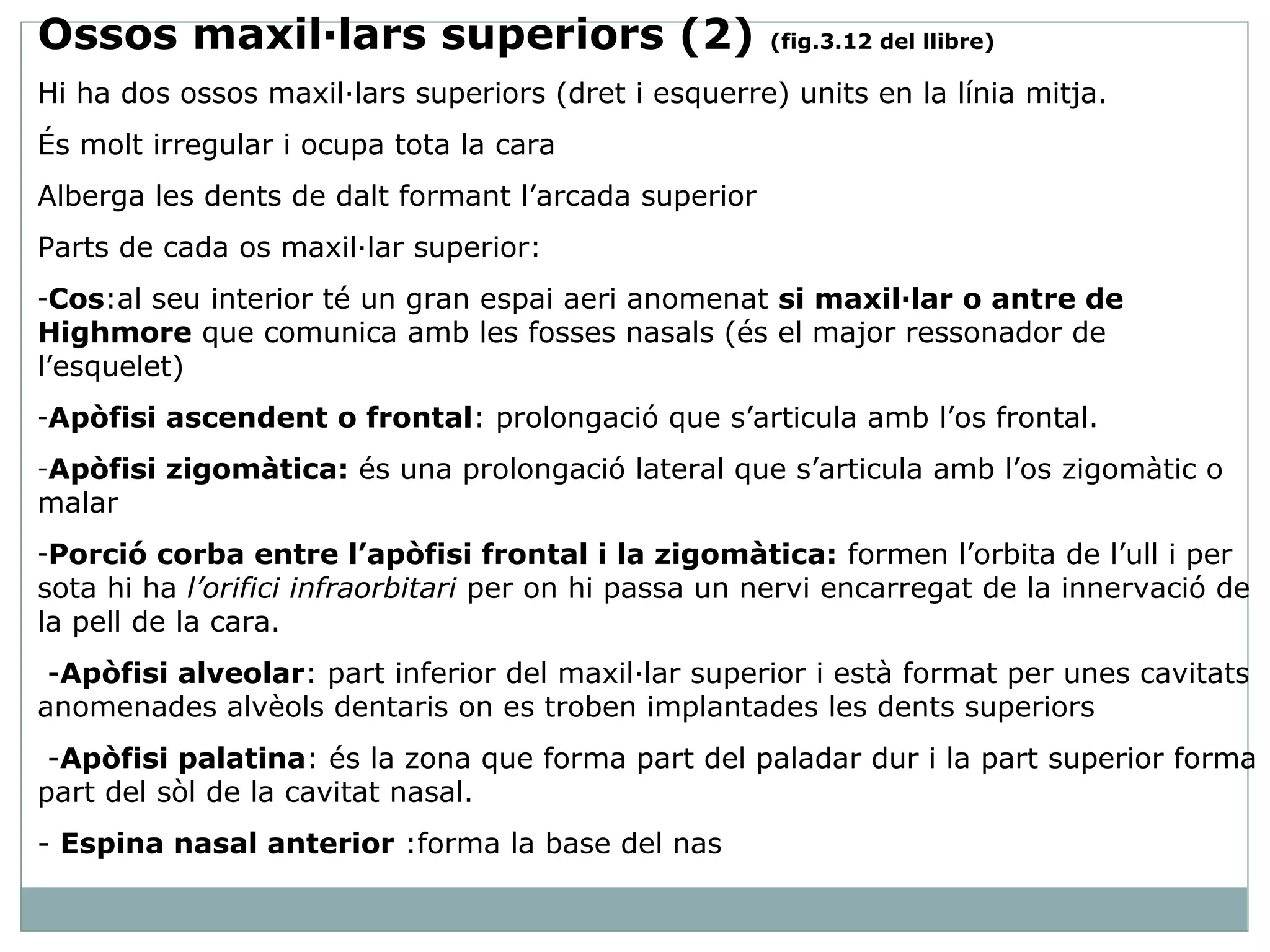 Ud2 anatomia cavitat bucal | PPT