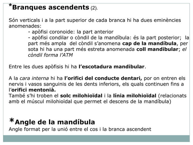 Ud2 anatomia cavitat bucal | PPT