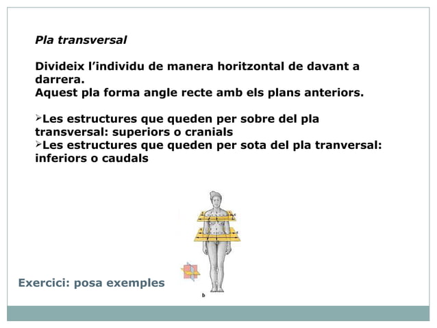 Ud2 anatomia cavitat bucal | PPT