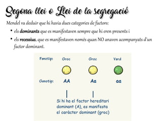 UD4. MENDEL I LES LLEIS DE L'HERÈNCIA | PDF