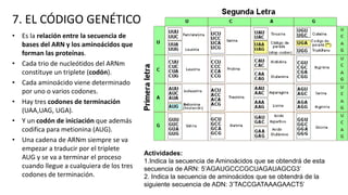 UD 6. Genética molecular. | PPT