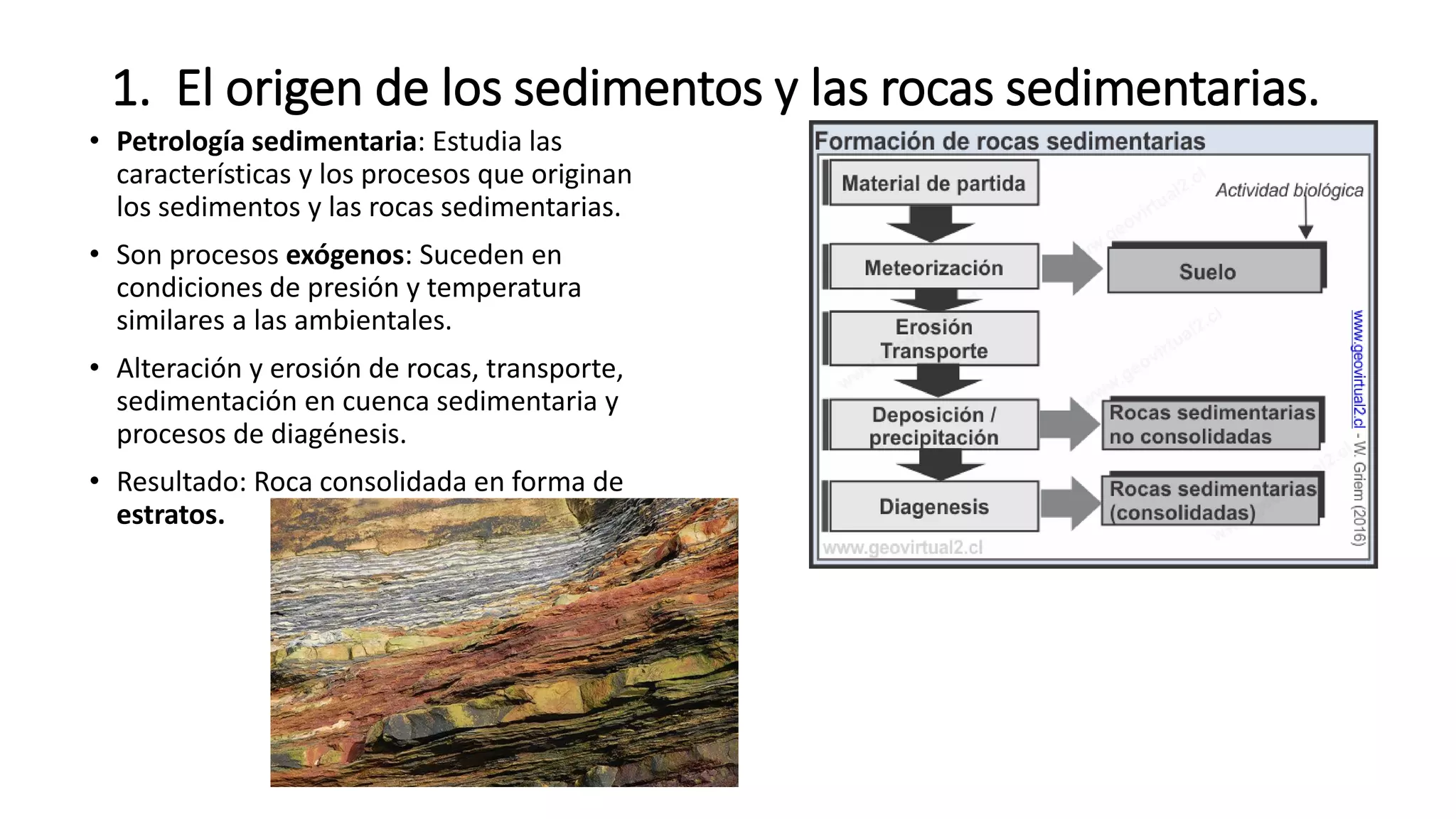 UD 7. Sedimentación y rocas sedimentarias | PDF