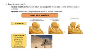 UD 7. Sedimentación y rocas sedimentarias | PDF