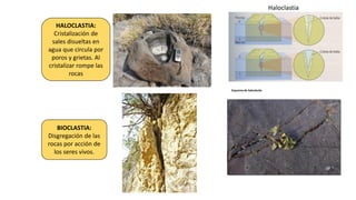 Ud 7. sedimentación y rocas sedimentarias | PDF