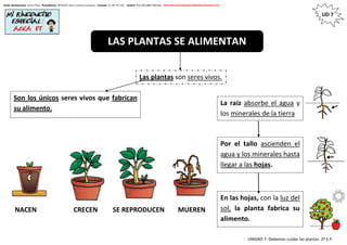 Ud7 Debemos cuidar las plantas. 2º de Primaria.Conocimiento del Medio | PDF