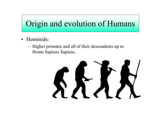 Unit Seven: The Stone Age | PPT