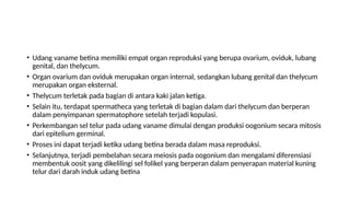 Biologi dan Reproduksi Udang di Kawasan Wallacea | PPT