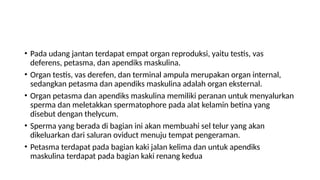 Biologi dan Reproduksi Udang di Kawasan Wallacea | PPTX