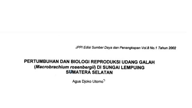 Biologi dan Reproduksi Udang di Kawasan Wallacea | PPT