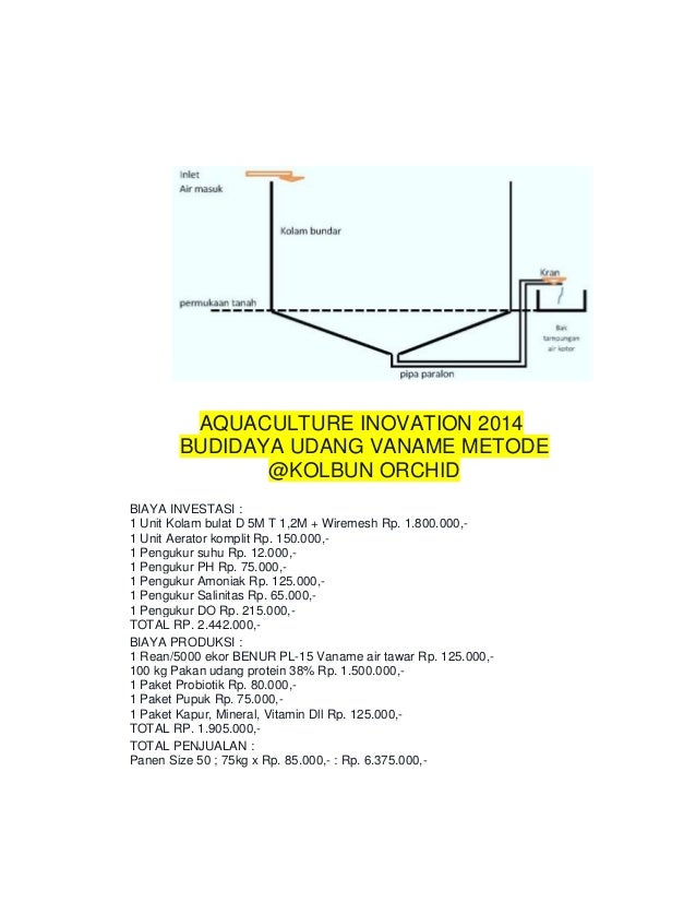 Budidaya Udang Kolam Bundar - InfoAkuakultur.com