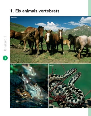 Ud animals barcanova | PDF